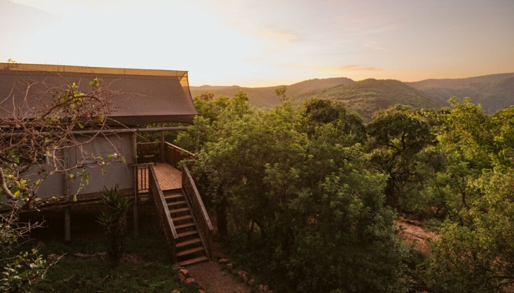 A Closer Look at Babanango's Luxury Game Lodges & Camps